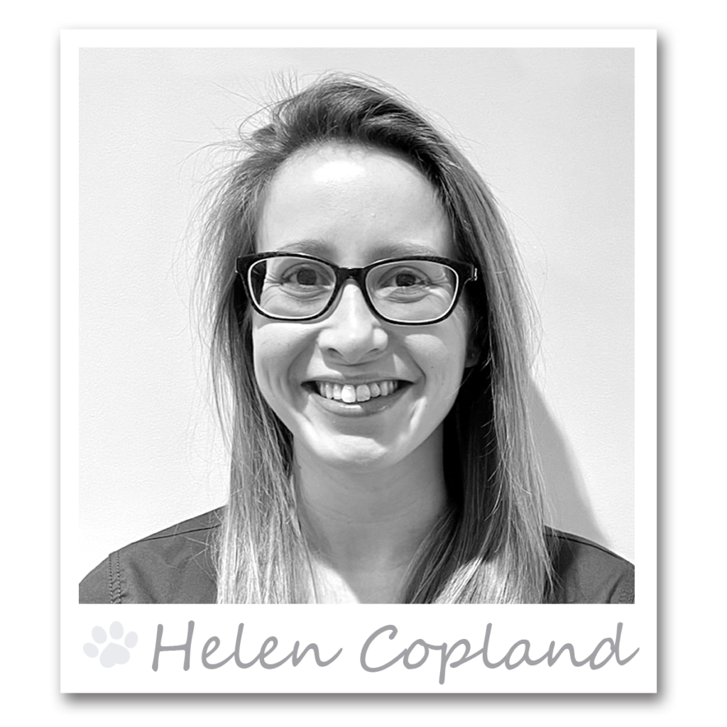 The Mulberry Team - Mulberry House Vets