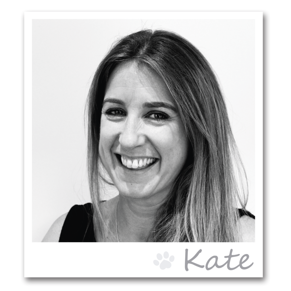 The Mulberry Team - Mulberry House Vets