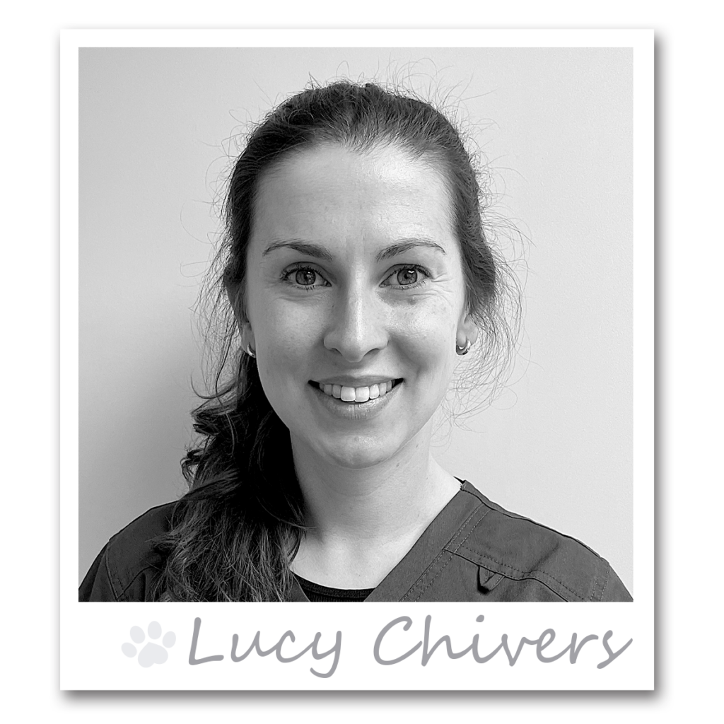 The Mulberry Team - Mulberry House Vets