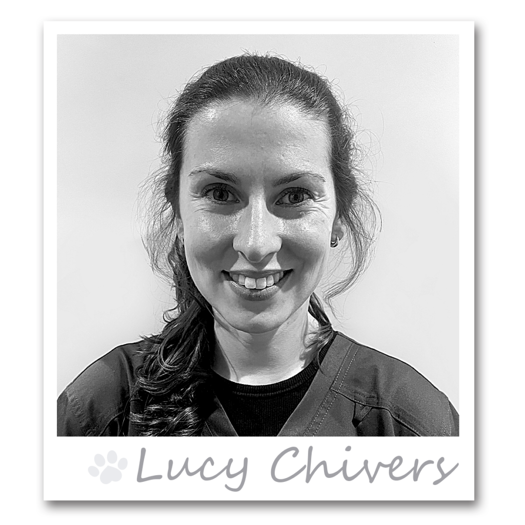 The Mulberry Team - Mulberry House Vets