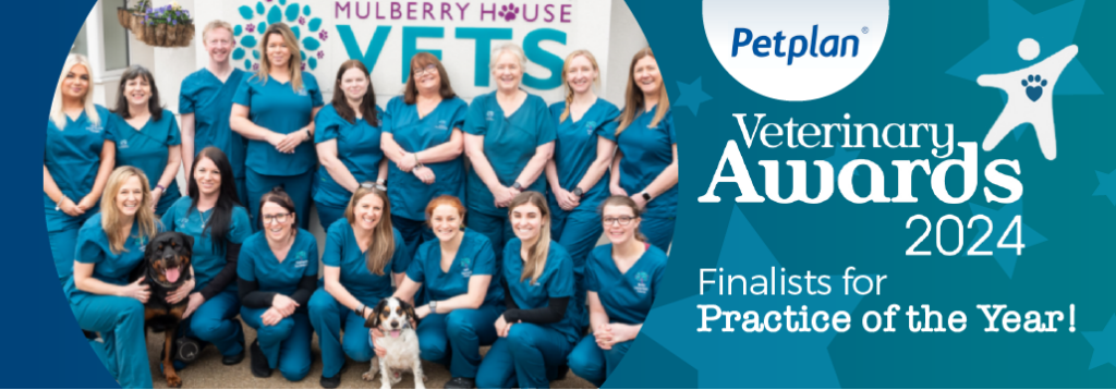 Petplan Awards 2024 - Mulberry House Vets