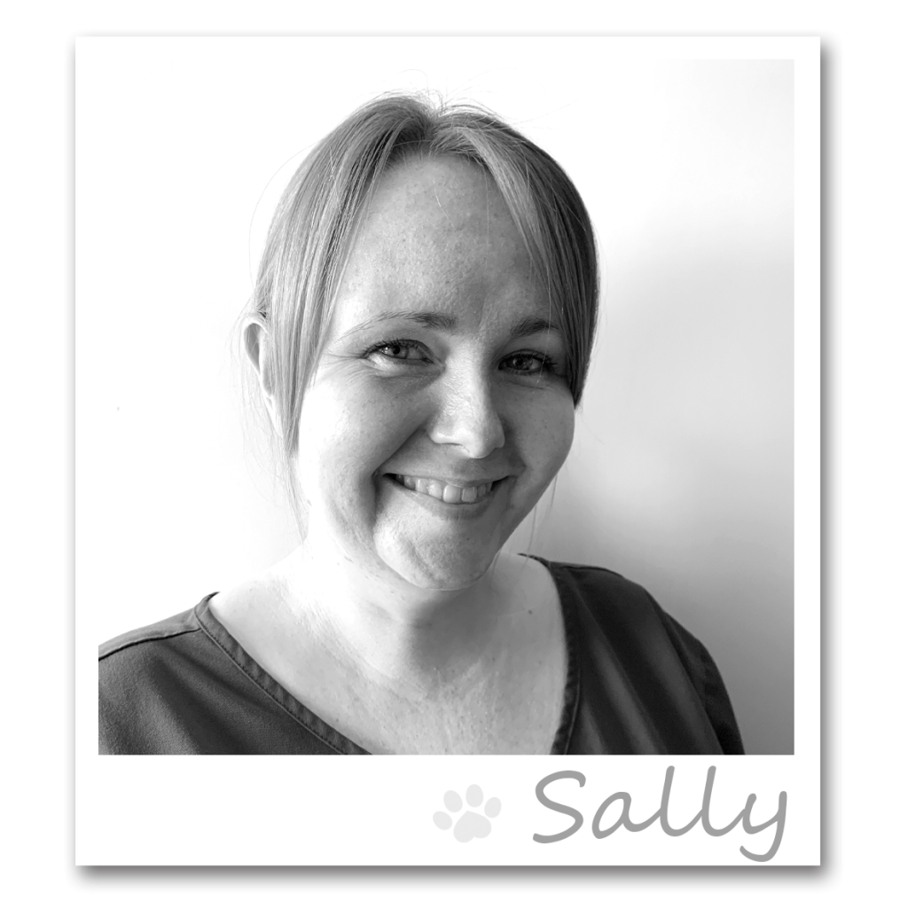 The Mulberry Team | Mulberry House Vets