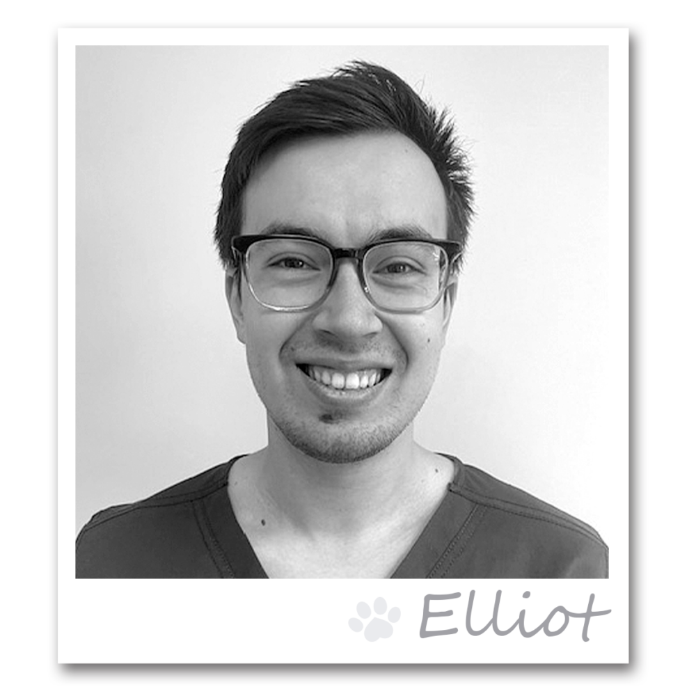 The Mulberry Team - Mulberry House Vets