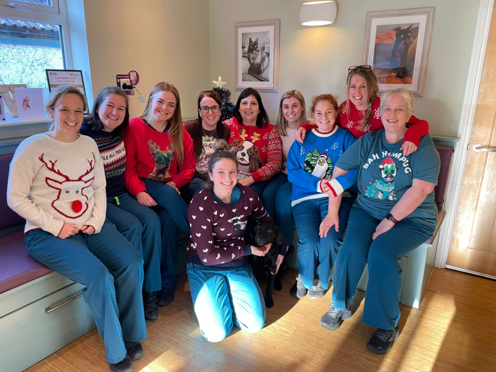 Christmas 2022 - Mulberry House Vets